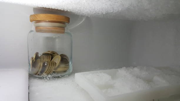 Why Do People Put Coins In Freezers? Surprising Reason – The Kitchen ...