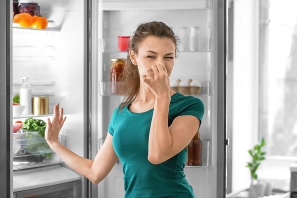 Why Does Your Freezer Ice Smell Bad? Causes and Solutions – The Kitchen ...